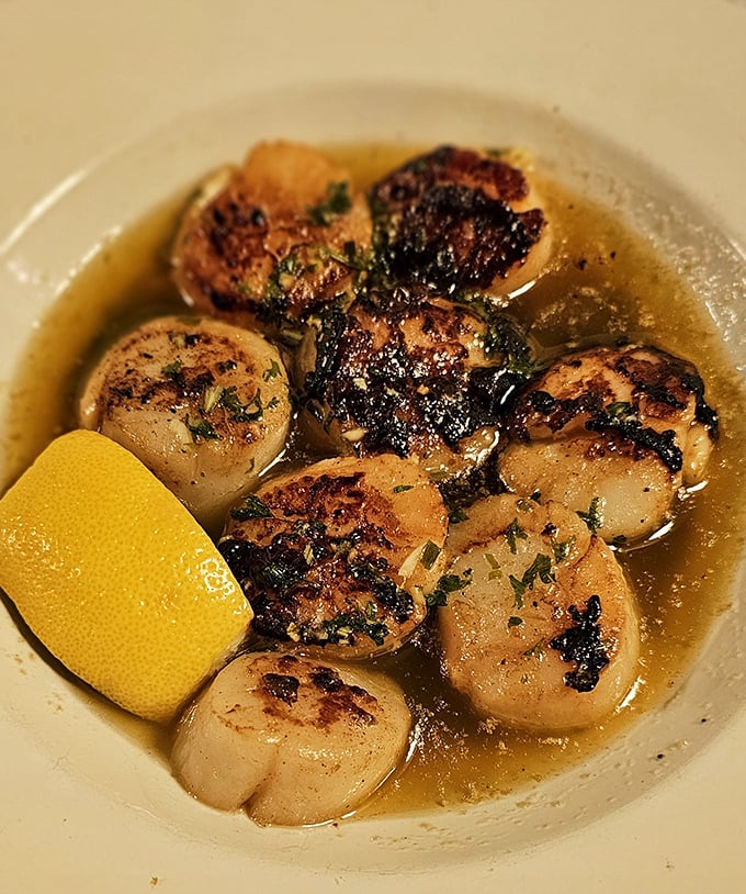 These scallops aren't just seared—they're transformed into buttery medallions of oceanic perfection, swimming in a sauce you'll want to bottle and take home.