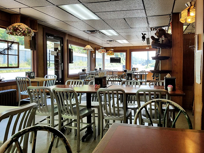 A dining room where conversations matter more than Instagram opportunities. Those metal chairs have supported the weight of countless happy customers and their satisfied sighs.