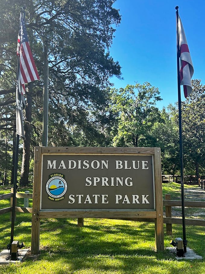 The modest entrance fee might be Florida's best bargain—where else can you swim in what looks like liquid sky?