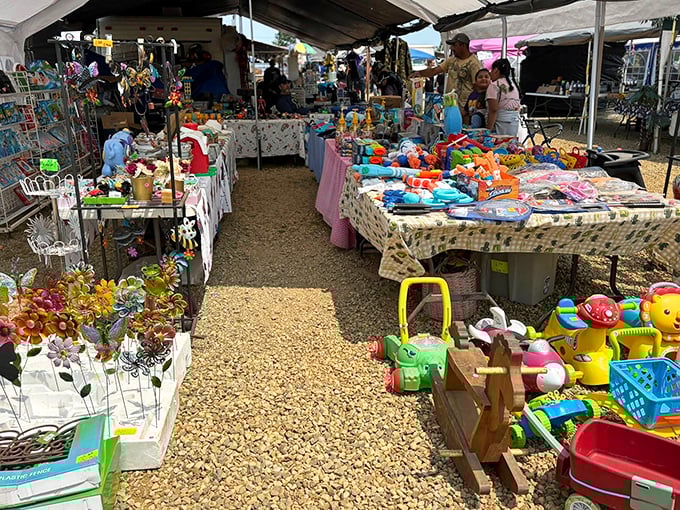 Toy wonderland where your childhood lives – missing pieces optional, memories included free of charge.
