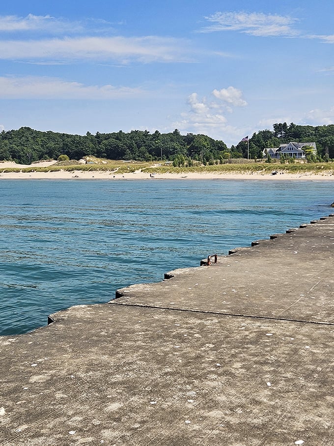 From the pier's edge, the shoreline unfolds like nature's perfect panorama, a postcard view you can actually step into.