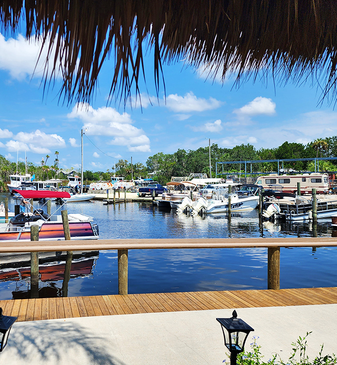 The view that explains everything about the freshness. When your restaurant sits this close to the source, "boat-to-table" isn't a marketing slogan—it's just lunch.