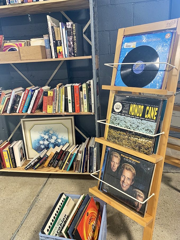 Vinyl records and vintage books—because sometimes the best streaming service is the one that requires a turntable and your full attention.
