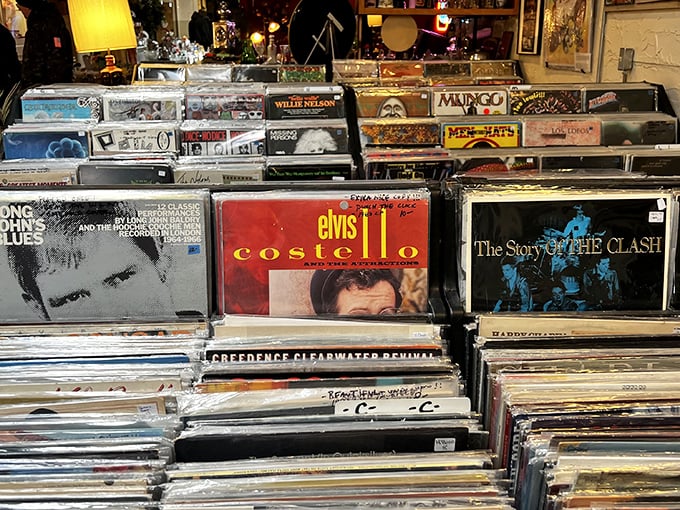 Vinyl heaven for music lovers – where album art was king and finding that rare pressing feels like striking gold in your own backyard.
