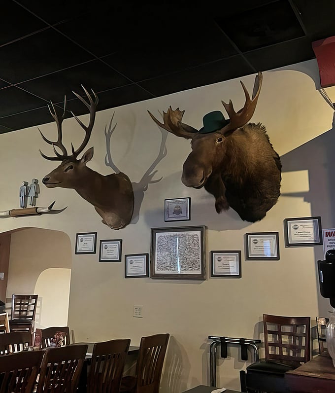 Those mounted trophies aren't just decoration—they're silent witnesses to countless celebrations, first dates, and "I'm-too-full-but-let's-see-the-dessert-menu-anyway" moments.