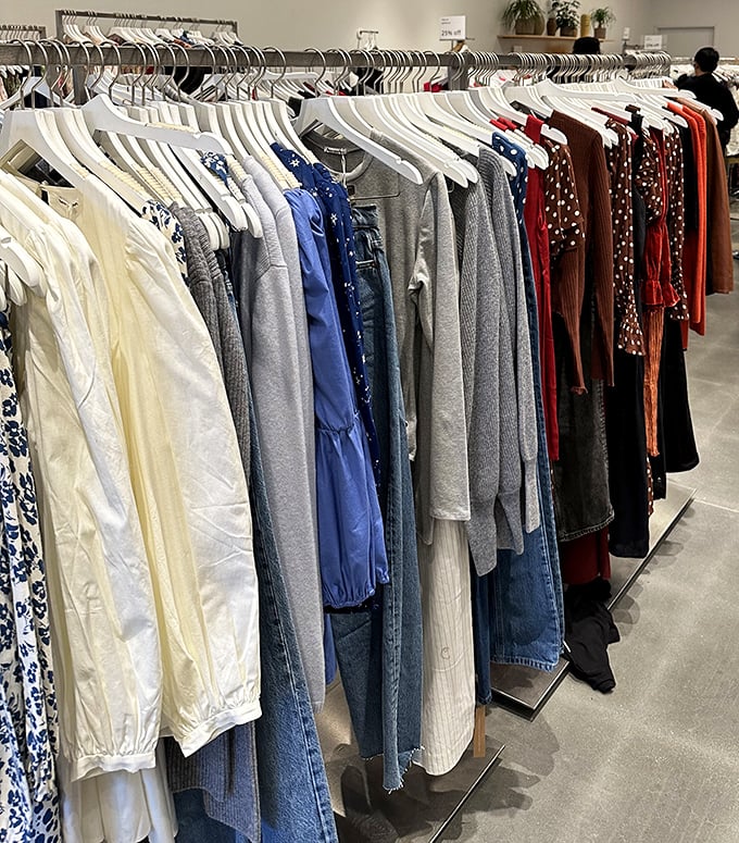 A rainbow of fabrics hanging like well-organized promises of who you could be if you just bought one more outfit.