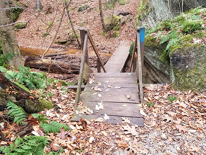 This humble footbridge connects more than just two sides of a stream – it's a portal between the everyday world and the extraordinary one waiting just beyond.