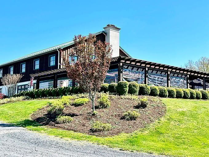 Barren Ridge's renovated apple barn proves that career changes can be spectacular – for buildings and humans alike.