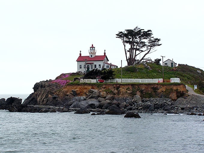 Lighthouse living where every day brings new maritime adventures and endless coastal charm.