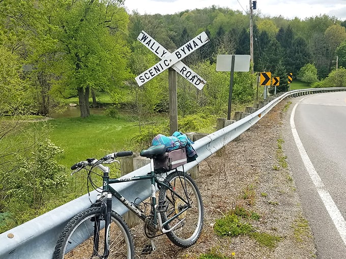 Two-wheeled adventures await! This cyclist knows Wally Road's gentle curves and stunning vistas are best appreciated at pedal-powered pace.
