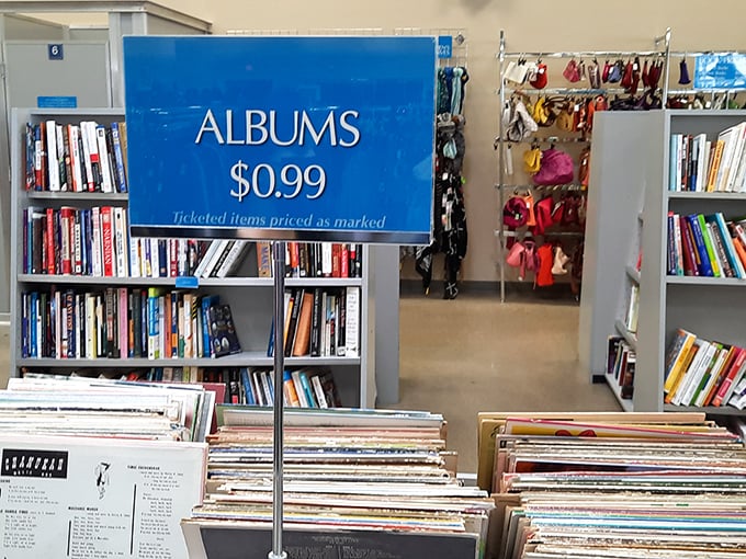 Vinyl enthusiasts rejoice! Albums for just 99 cents—because sometimes the best soundtracks to life come with a few nostalgic scratches.