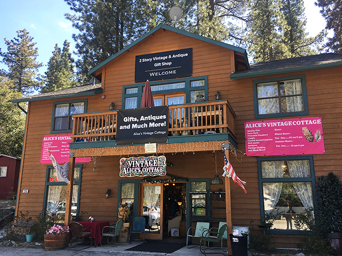 Alice's Vintage Cottage—where yesterday's treasures become today's "I can't believe I found this!"