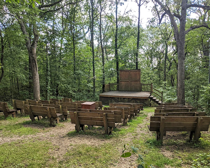 Nature's theater, where the only admission price is the effort to get there. The birds provide surround sound for free. 