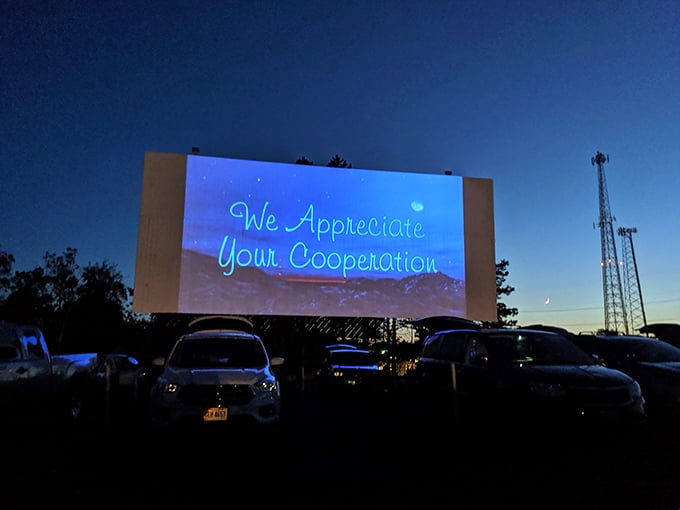"We Appreciate Your Cooperation" glows in neon blue—a gentle reminder that we're all in this together, sharing this slice of Americana.