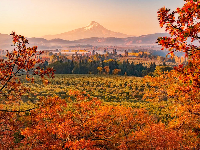 Fall foliage that makes New England nervously check its calendar. Those colors aren't showing off—they're just living their best life.