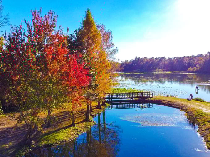 Fall paints Apalachicola in a palette that would make Bob Ross weep with joy, nature's masterpiece reflected in tranquil waters.