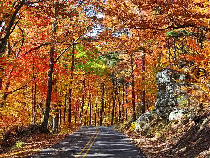 Autumn in Georgia paints country roads with colors so vibrant you'll swear Mother Nature hired a Hollywood set designer for the season.