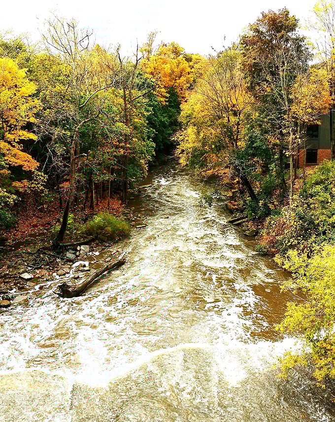 Autumn in Chagrin Falls is Mother Nature's masterclass in color theory, with the rushing river cutting through a canvas of gold and crimson.