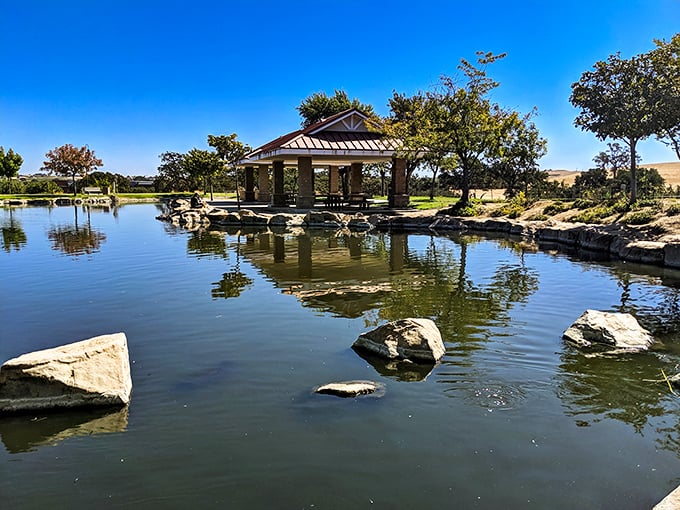 Barney Schwartz Park's peaceful pond – where ducks paddle and retirees contemplate life's simpler pleasures.