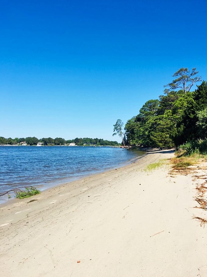 The park's secluded beach offers what luxury resorts can't buy—pristine shoreline without the soundtrack of someone else's vacation playlist.