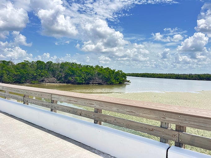 Where mangroves meet sandy shores – a delicate ecosystem that's been perfecting its balance act long before humans arrived with sunscreen and cameras.