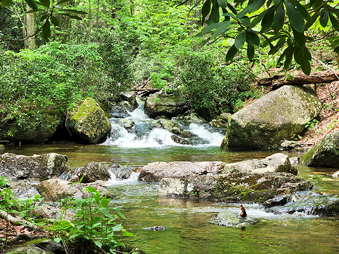 Crystal clear mountain streams provide nature's soundtrack—part lullaby, part symphony. The perfect place to dip tired hiking feet on a summer day.