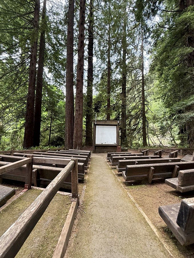 Nature's amphitheater where the redwoods provide both the setting and the sermon – no microphone needed when the message is this powerful.