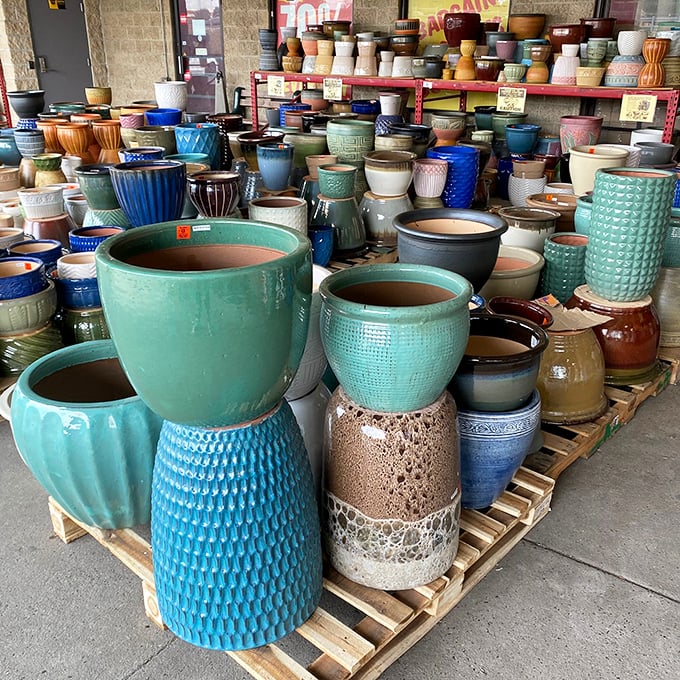 Ceramic pots in a rainbow of glazes—garden ambitions bloom brighter when you're saving enough to actually buy the plants too.