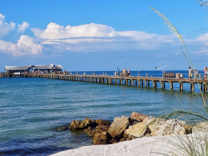 City Pier stretches into Tampa Bay like an invitation – come stroll above the water and see what the pelicans are so excited about.