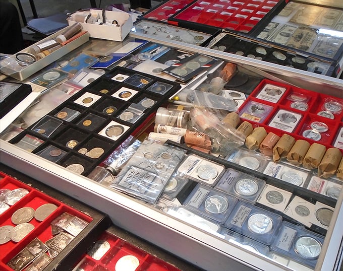 Coin collectors' dreams materialize in these cases, where history is measured in cents and presidential profiles tell America's story one nickel at a time.