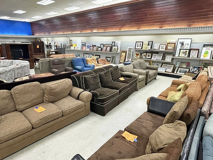 The couch lineup resembles a support group for comfortable seating—each with stories to tell and naps yet to host.