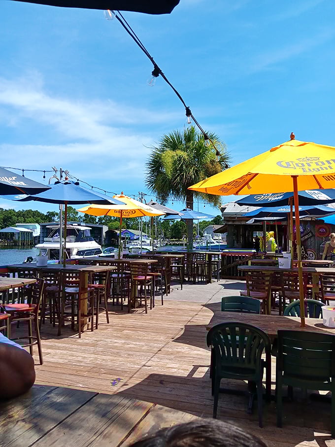 Sun-drenched deck dining with a marina view. Those colorful umbrellas aren't just for show—they're protecting precious cargo (your cold drinks).