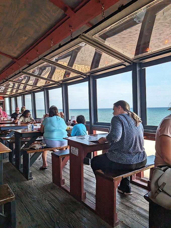 Ocean views that upstage even the most delicious meal—nature's dinner theater where dolphins occasionally make cameo appearances between courses.