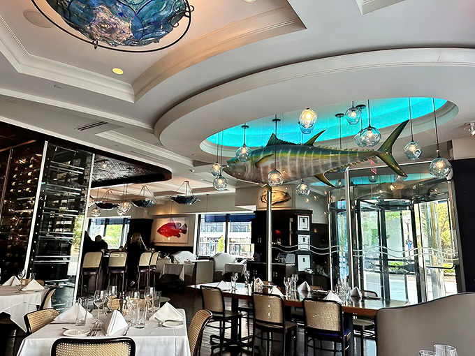 The marriage of sleek design and oceanic elements creates a dining room where even the yellowfin tuna mounted overhead seems to be smiling.