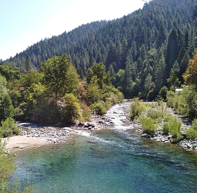 The crystal-clear Downie River doesn't just flow through Downieville – it's the town's liquid soul, carving paths through stone and memory alike.