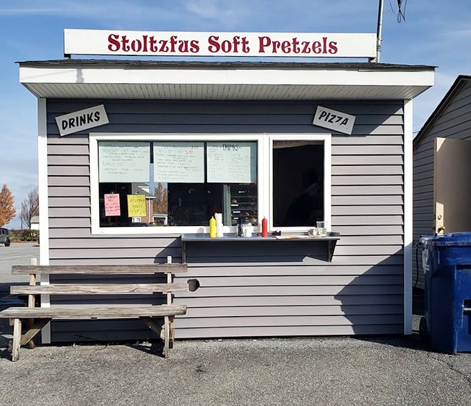 Stoltzfus Soft Pretzels—because what's a Pennsylvania market without proper pretzel representation? Your taste buds just found their happy place.