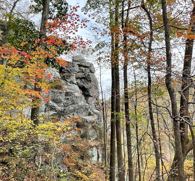 Fall foliage frames ancient rock formations in a seasonal spectacle. Nature's own Broadway show, and the tickets are surprisingly affordable.