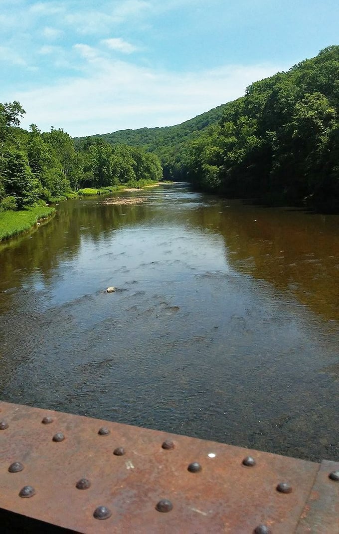 The gentle flow of Oil Creek through verdant forests offers a serenity that expensive meditation apps try desperately to replicate but never quite capture.