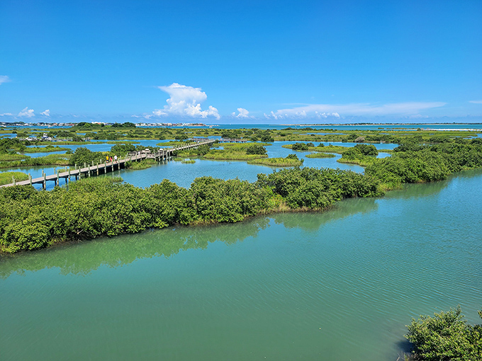 The Anastasia State Park marshlands create a tapestry of blues and greens. Mother Nature's watercolor palette proves she could have had a promising career in landscape design.