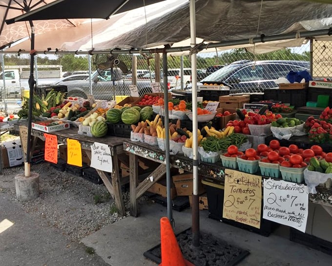 Nature's candy stand! These sun-ripened Florida fruits and vegetables make supermarket produce look like sad, distant relatives.