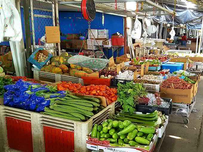 Nature's candy store—fresh produce arranged in a rainbow of nutrition that makes eating your vegetables seem like the easiest choice ever.