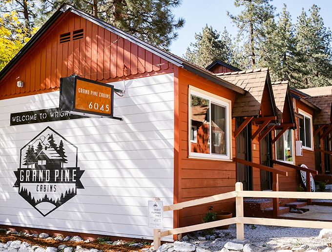 Grand Pine Cabins – where the welcome sign might as well read "Your blood pressure will drop 10 points upon check-in, guaranteed."