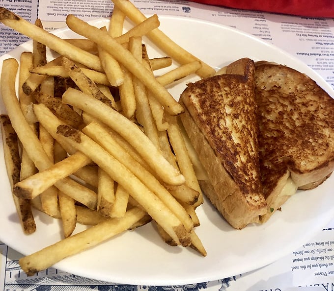The humble grilled cheese and fries—elevated to art form. Golden-brown bread hugging melted cheese alongside perfectly crisp fries proves simple food done right is unbeatable.