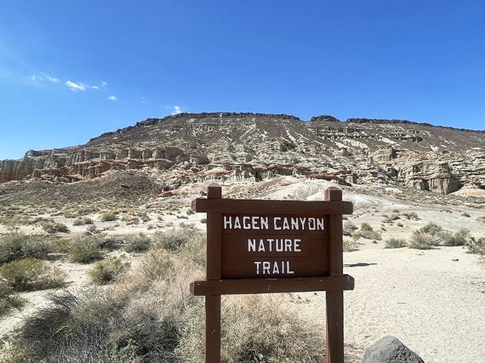 Hagen Canyon: where time stands still. These ancient formations have witnessed millions of years of Earth's history, making our human concerns seem delightfully small.