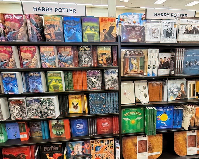 Harry Potter merchandise that proves magic exists—in the form of books that transport you far from your shopping fatigue.