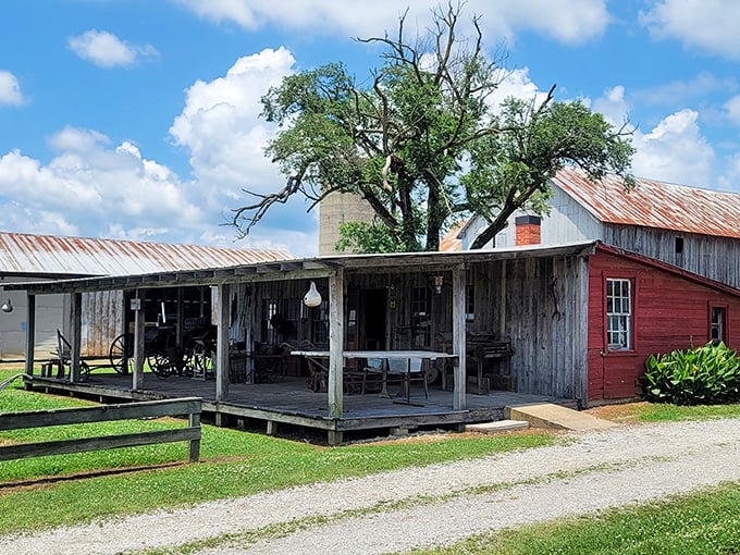 This rustic porch has witnessed more genuine conversations than a thousand coffee chains. No Wi-Fi password needed—just pull up a chair and talk.