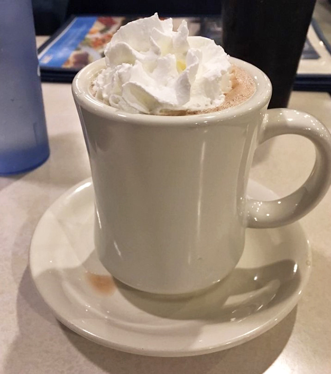 Hot chocolate crowned with a cloud of whipped cream—winter's perfect antidote served in a mug that feels like holding hands with an old friend.