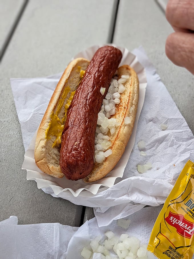 The hot dog arrives dressed in its Midwestern finest—yellow mustard, diced onions, and a perfectly steamed bun that cradles this American classic with dignity.