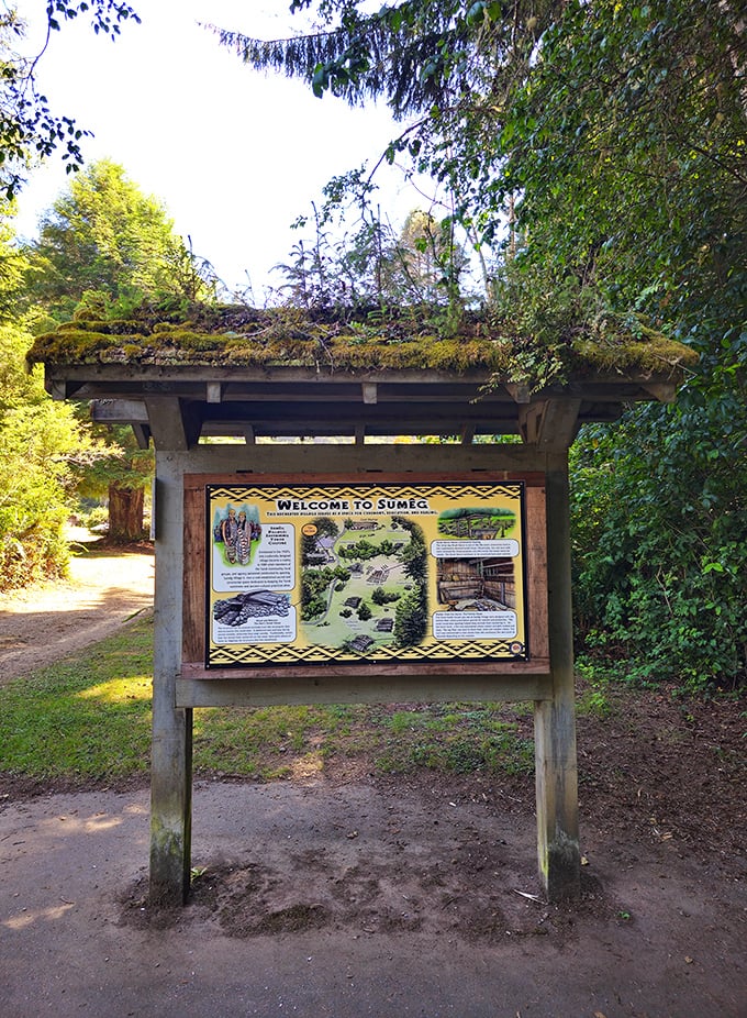 Information boards that teach without preaching – your crash course in local ecology starts here.