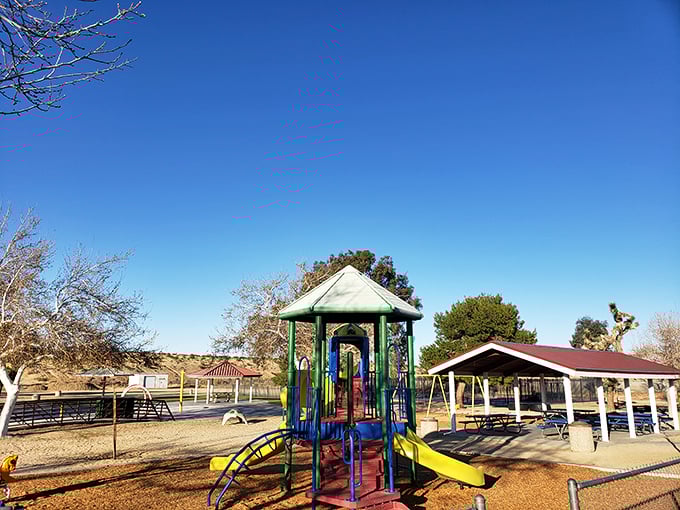 Recreation takes on a desert twist at this colorful playground. The perfect spot for little adventurers to burn energy before their next hike.
